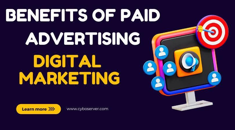 The Benefits of Paid Advertising in Digital Marketing » CyboServer